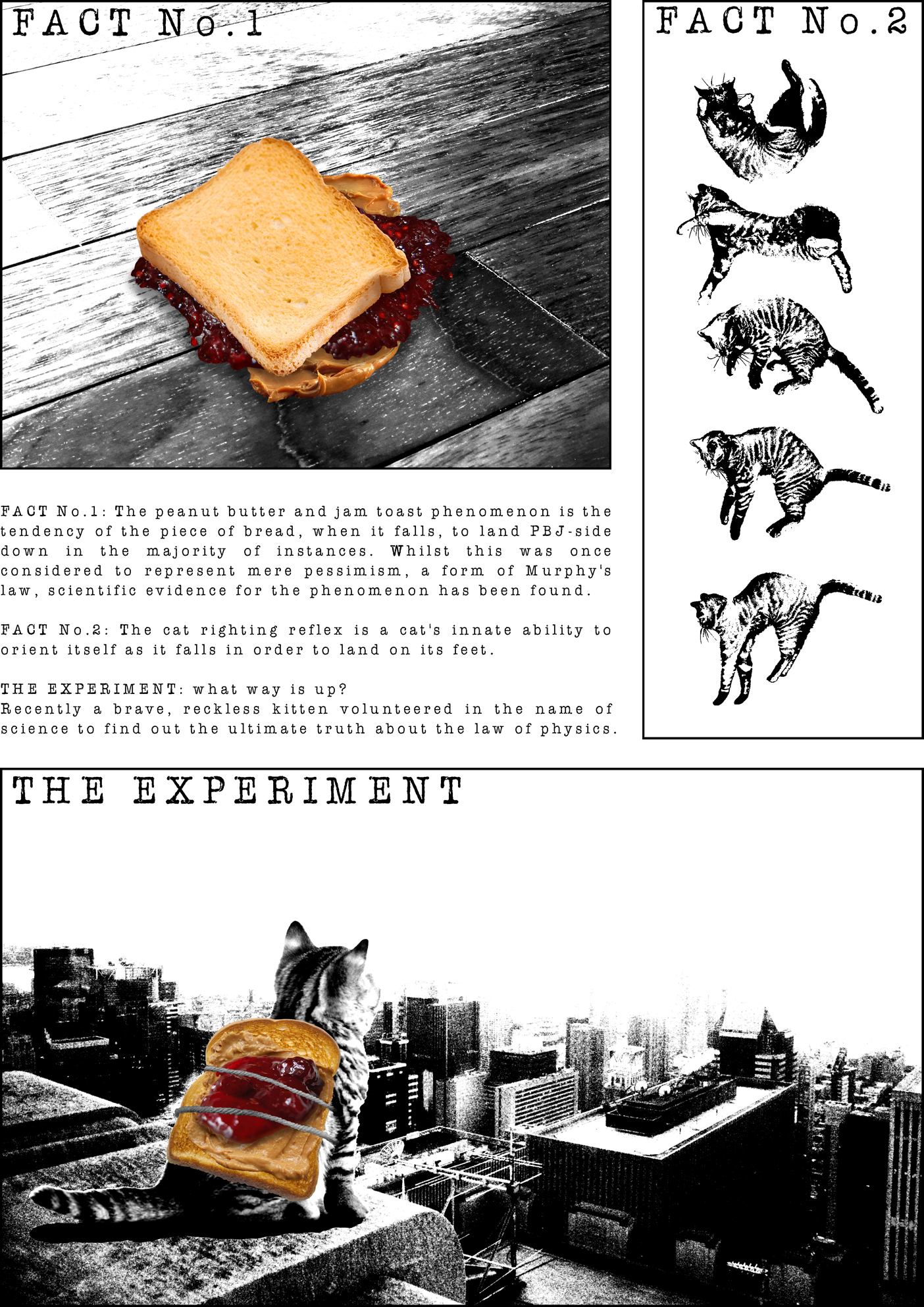 The Experiment – art from scratch