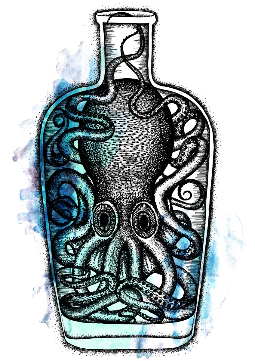 Octopus Illustration – art from scratch