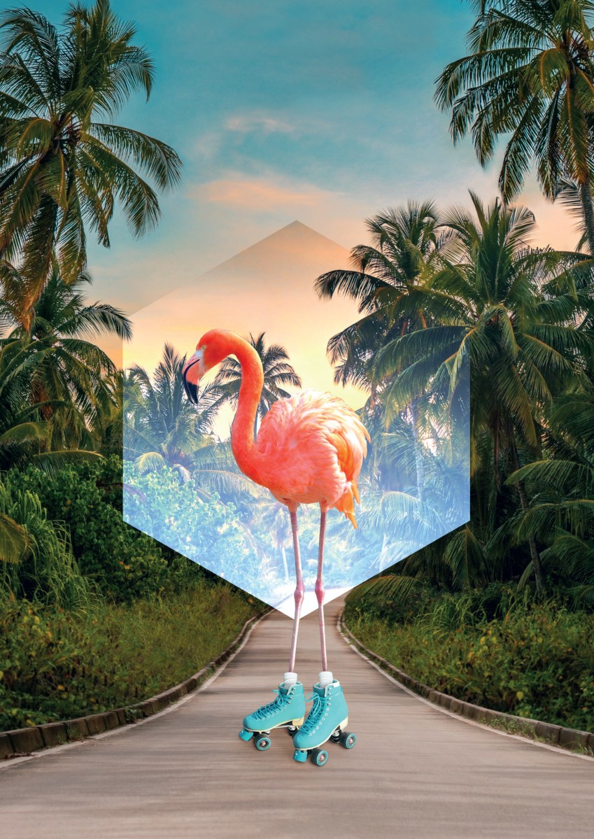 Skating Flamingo – art from scratch